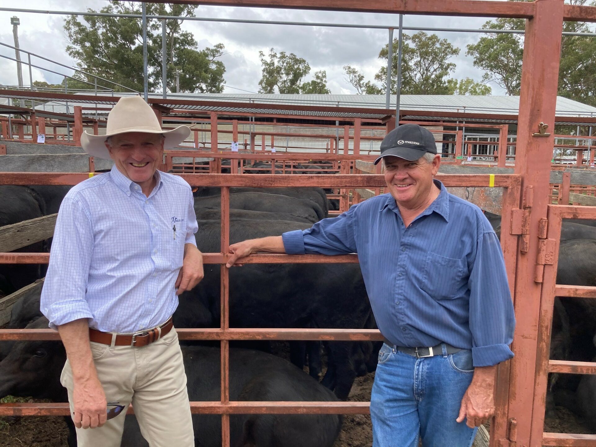 Don Russell - Warwick Park Grazing - Ascot Cattle Co
