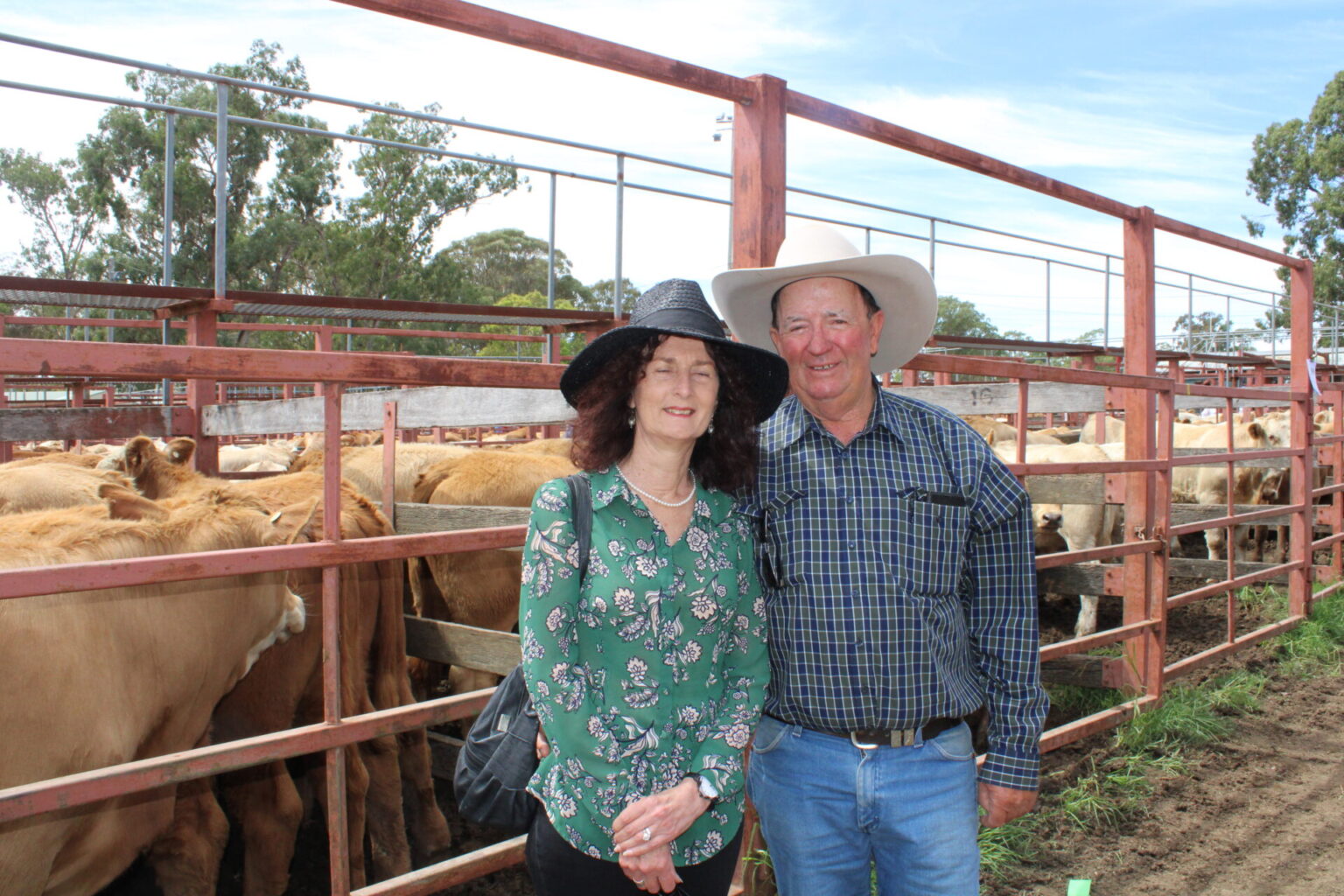 Mike & Sharyn Benn - Ascot Cattle Co